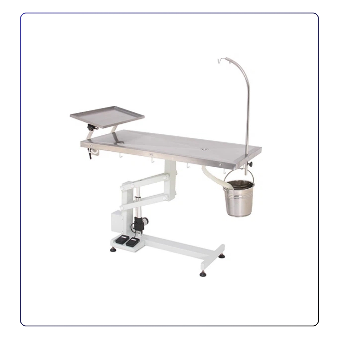 Falcon | Smart Vets UAE